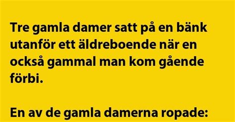 Tre Gamla Damer Satt På En Skämt Och De Bästa Roliga Bilderna