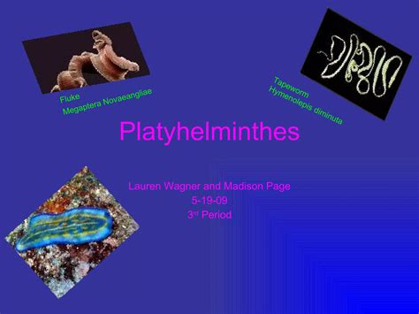 Platyhelminthes Ppt