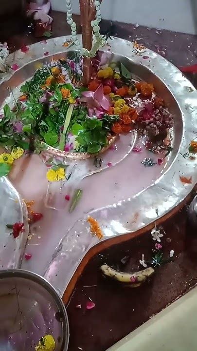 प्रदोषकाल उपाय Subscribe Trending सफलताकेमंत्र प प्रदीप मिश्रा जी