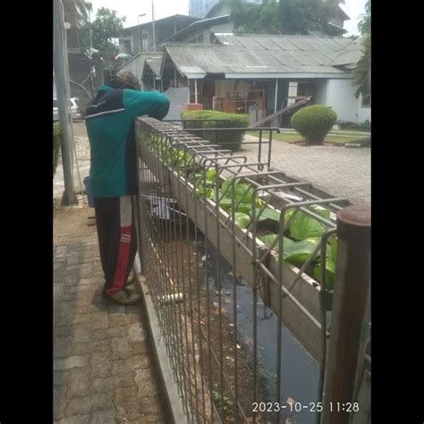 Jual Perawatan Taman Control Tanaman Pagar Di Asuransi Bintang 25 10