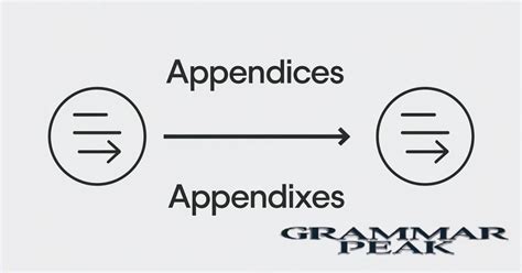 Appendices Or Appendixes Clarifying Usage Grammar Peak