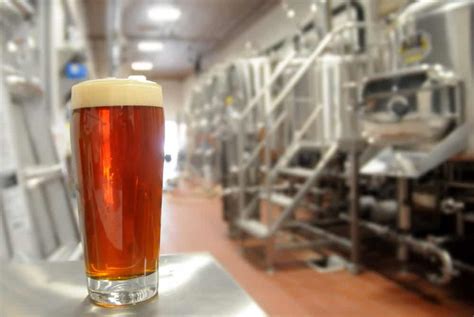 IPA Vs Double IPA Whats The Difference