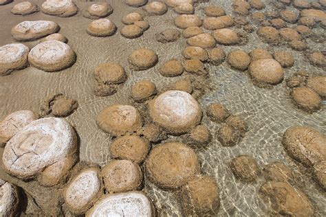 Portfolio Perdita Phillips