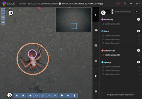 Figure E The User Interface Of The BIIGLE Image Annotation Tool A