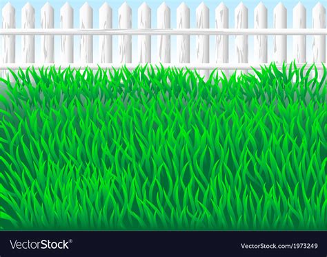 Garden Grass Royalty Free Vector Image Vectorstock