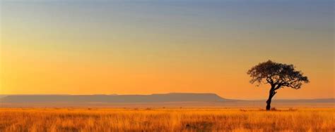 24 000 Banni Mara Pictures