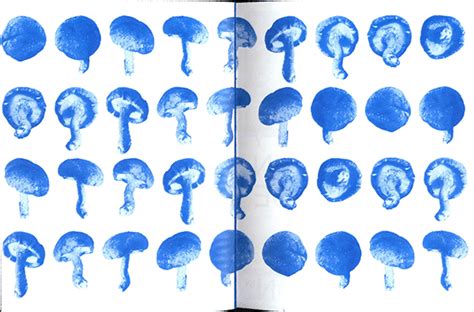 Me Mushroom And The World Zine Behance