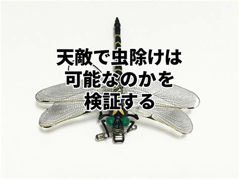 虫除けオニヤンマくんを検証してみた ファッションデザイナー北へ行く