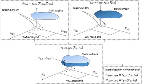 10 Interpolation Process Download Scientific Diagram