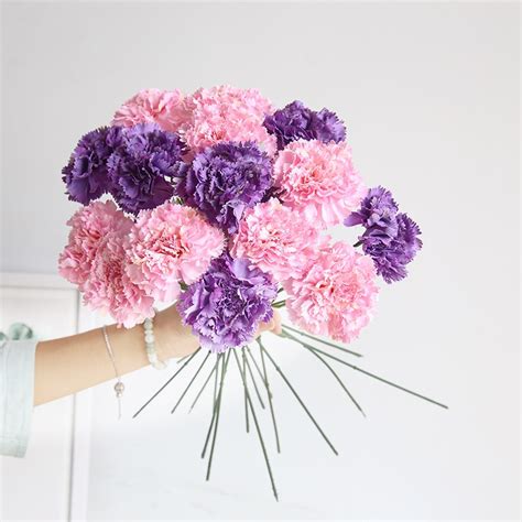 Pcs Mother S Day Teacher S Single Carnation Flowe Vicedeal
