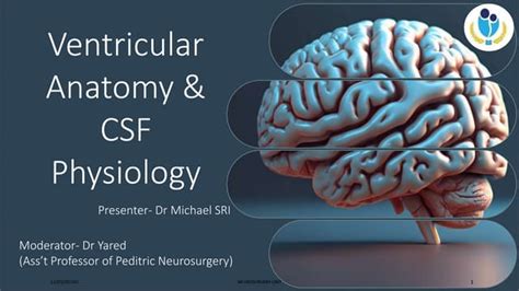 Ventricle Anatomy And Csf Physiology Pptx