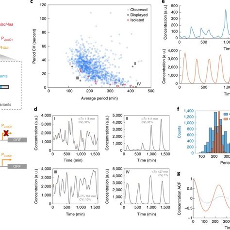 Overview Of SIFT A Schematic Of The Screening Process Any Pooled Download Scientific Diagram