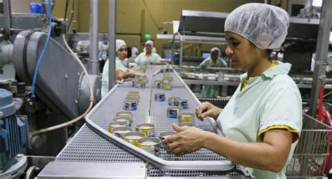 Características Del Empleo En Ecuador Blog Iceméxico