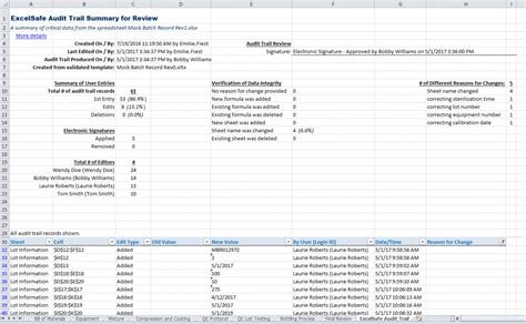 Test Summary Report Excel Template Business Fromgrandma Best