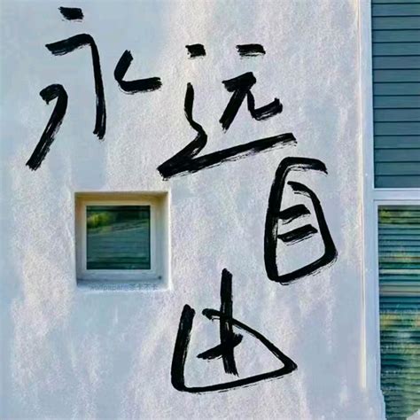 人生是旷野而非轨道 哔哩哔哩