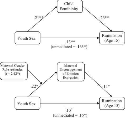 Final Significant Model Paths Unstandardized Coefficients P 10 P