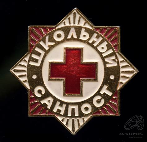 Знак нагрудный Школьный санпост Al эмаль ЩЗ СССР Лот №5301 Аукцион №247 Anumis