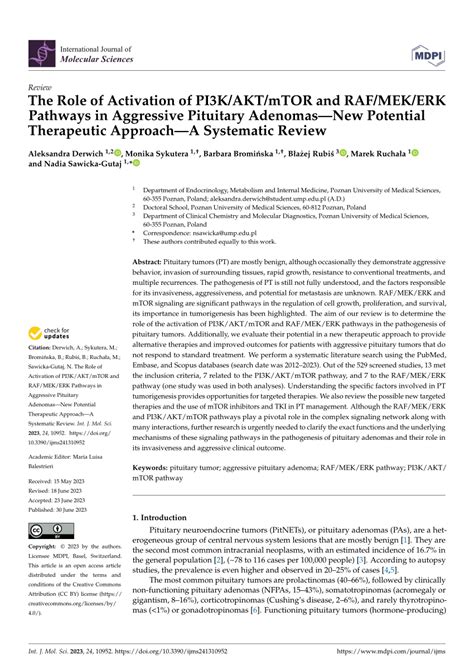 Pdf The Role Of Activation Of Pi3kaktmtor And Rafmekerk Pathways