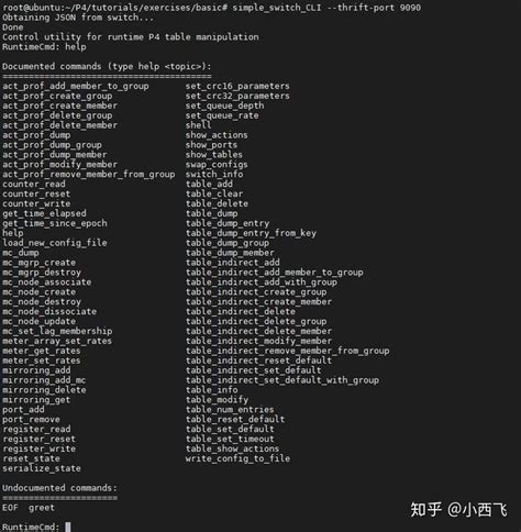 p4 tutorials 实例分析—basic 知乎