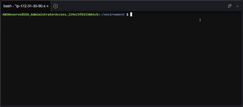 Dynamic Credentials For Every Aws Cli Command A Step By Step Guide To Esc Run Pulumi