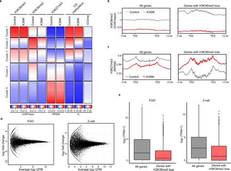 Histone H K Me And H K Me Form A Chromatin Platform Essential For DNMT A Dependent DNA