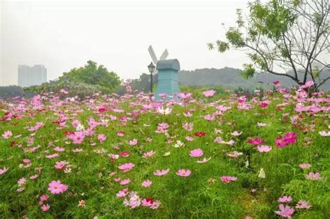 Binhai Park — Гуанчжоу сайт туры экскурсии достопримечательности