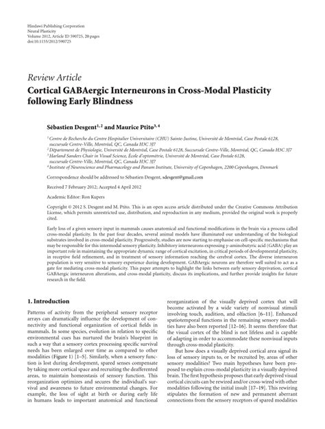 Pdf Cortical Gabaergic Interneurons In Cross Modal Plasticity Following Early Blindness