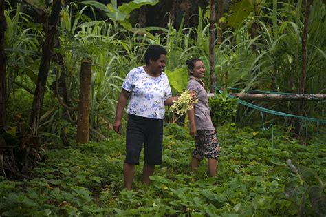 Climate And Forest United Nations Development Programme