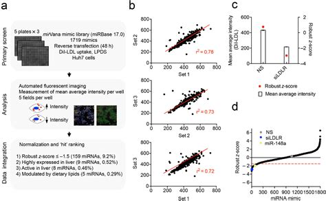 Figure 1 From Identification Of Mir 148a As A Novel Regulator Of