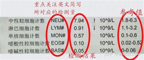 如何简单看懂血常规报告 知乎