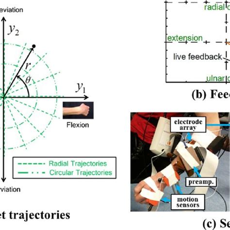 A Experimental Paradigm Used In This Study Sixteen Radial And Four Download Scientific