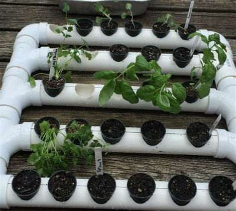 22 Diy Pvc Pipe Garden Ideas Diyscraftsy