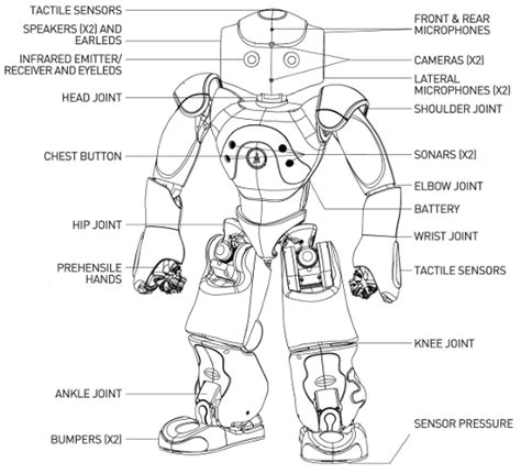 Cloud Based Speech Tech Humanizes Humanoid Robot