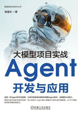大模型项目实战Agent开发与应用 高强文 豆瓣阅读