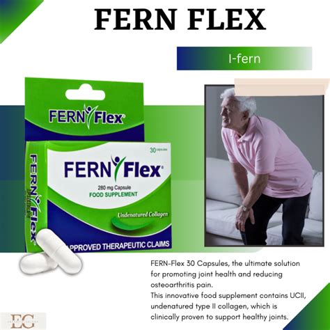 Original Fern Flex 28 Mg Capsule Food Supplement Undernatured Type