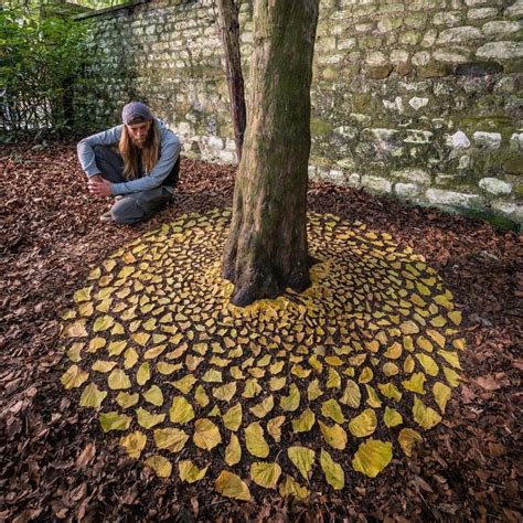 15 Striking Autumn Leaves Arrangement By Land Artist Jon Foreman DeMilked