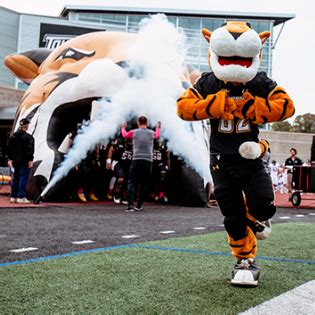 Complex Callout Snippet Towson University