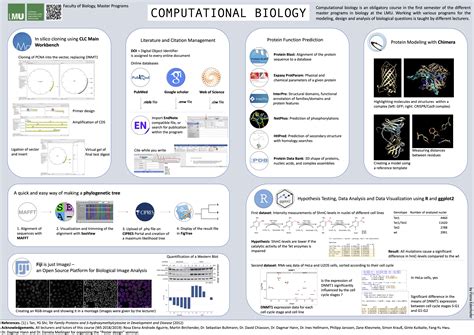 Moodle Lmu De Alle Kurse