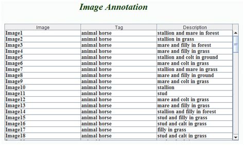 Sample Set Of Input Images Download Scientific Diagram