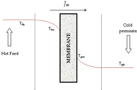 Schematic Diagram Of Temperature Polarization In Md T Fm T Pm T Fb