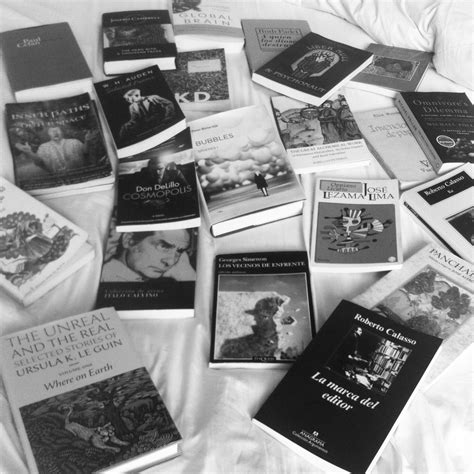 El incomparable placer de tener una biblioteca de libros no leídos