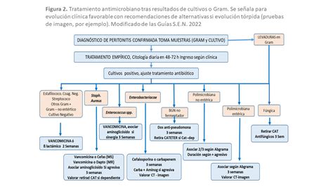 Peritonitis Asociada A Diálisis Peritoneal Nefrología Al Día