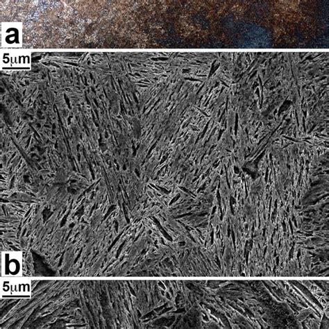 Micrographs A Optical Micrograph Showing The Structure At Arrow B Of Download Scientific