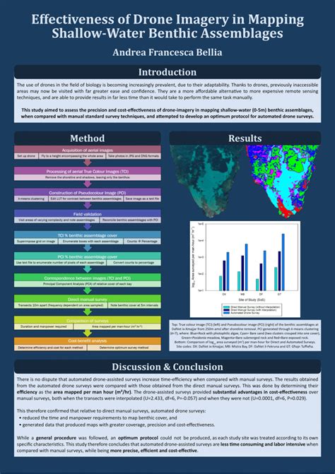 Pdf Effectiveness Of Drone Imagery In Mapping Shallow Water Benthic Assemblages
