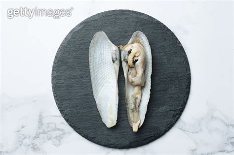 Pholas Orientalis Angel Wing Good Source Of Sex Food 이미지 1334934673