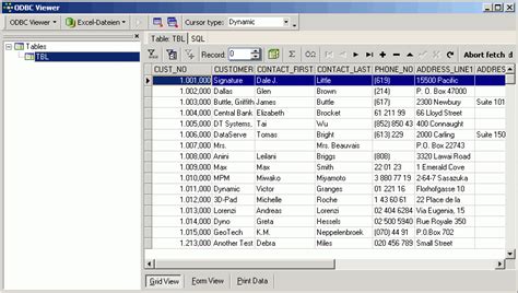 The Database Experts Docodbc Viewer