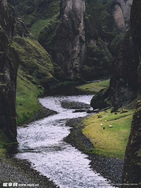树林风景 摄影图 其他 旅游摄影 摄影图库 昵图网