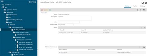 实施aci传输路由 Multipod Cisco