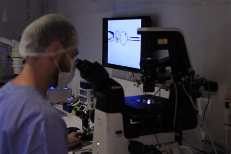 O Que é Teste Genético Pré Implantacional Pgt Clínica Genics