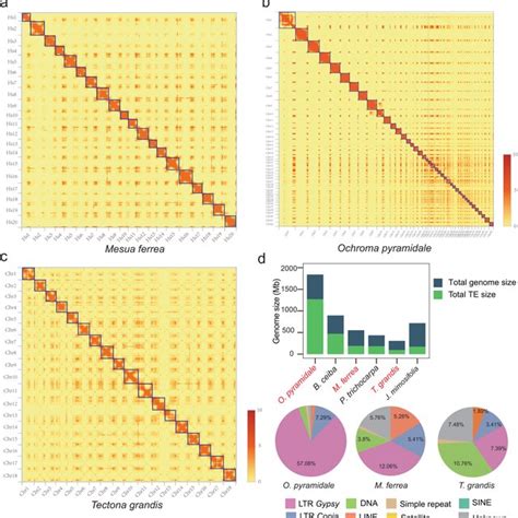 The Hi C Map And The Distribution Of Transposable Elements Tes Across